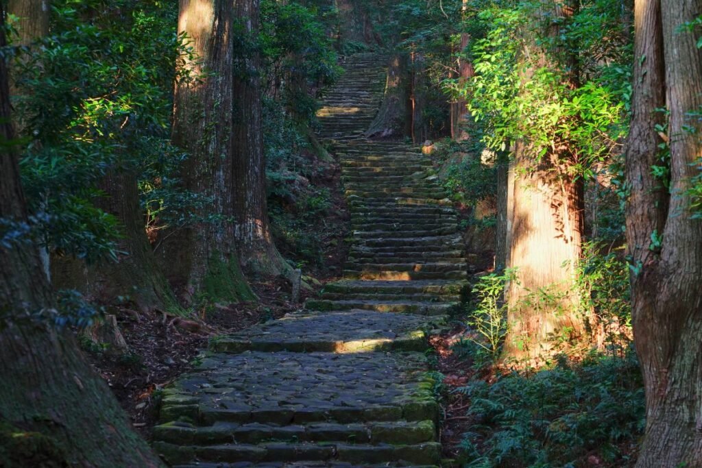 5 Beautiful Japanese Hiking Trails To Explore - Why So Japan