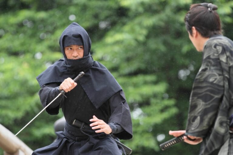 Ninja Vs Samurai - Why So Japan