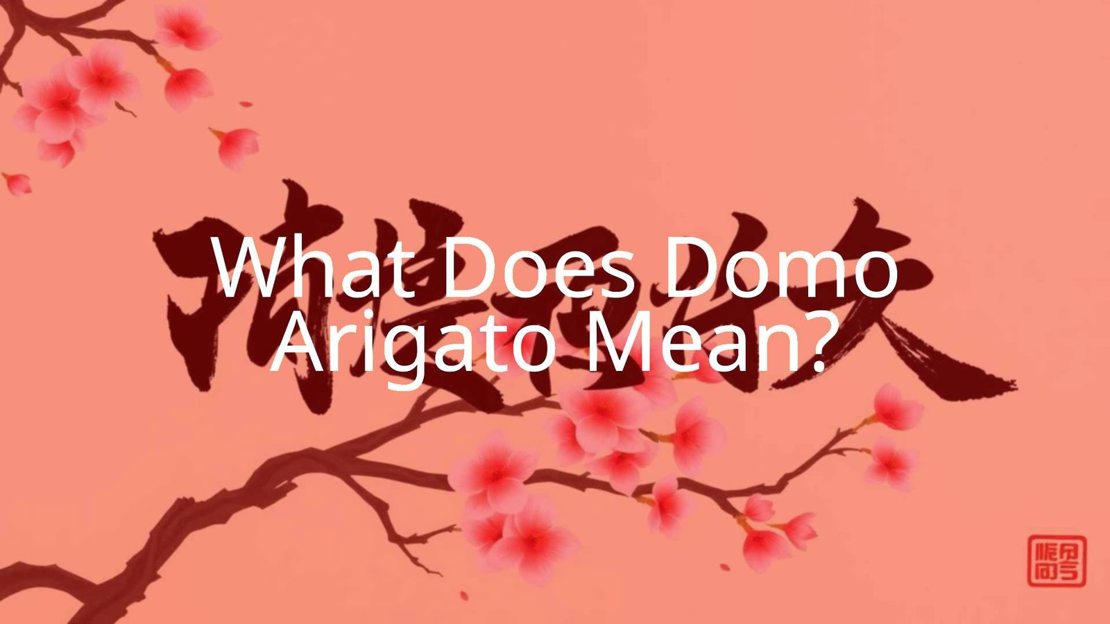 What Does Domo Arigato Mean? - Why So Japan