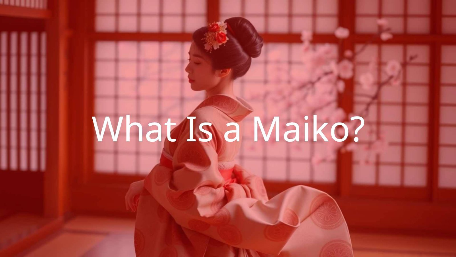 What Is a Maiko? - Why So Japan